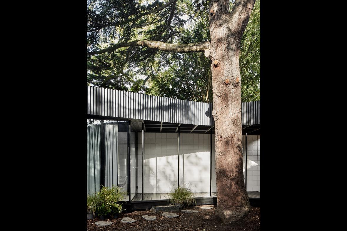 What made this project… A Room Around a Tree by Tikari Works | Features ...